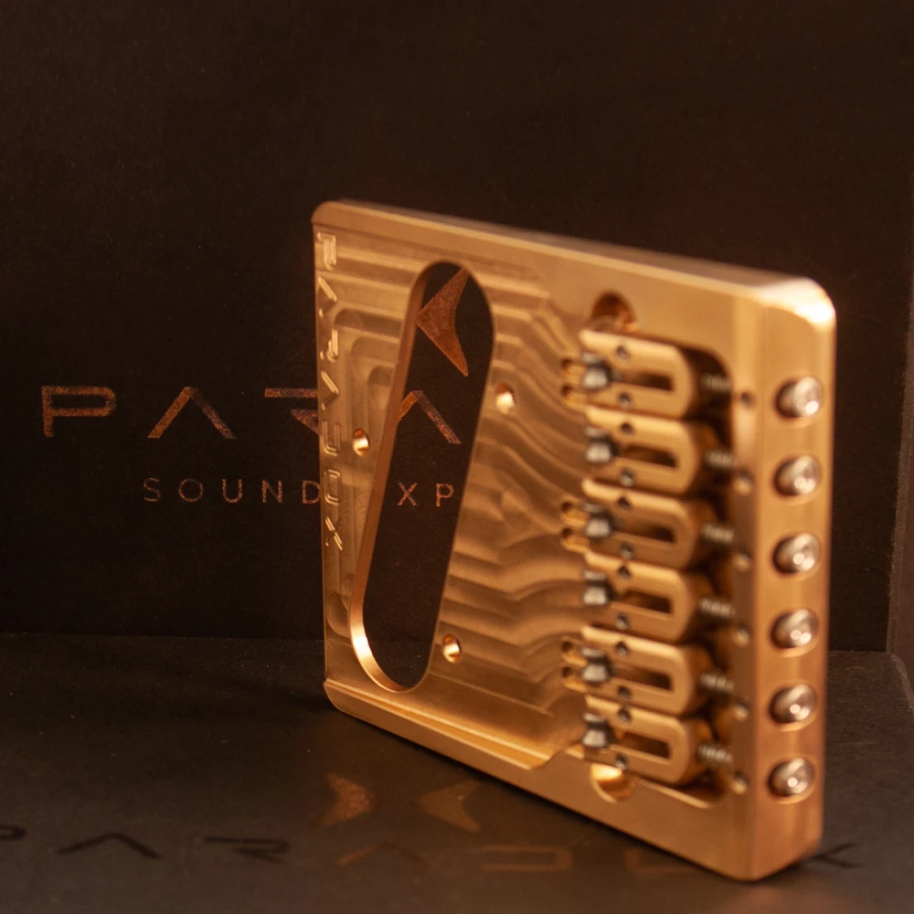 Telecaster Phosphor Bronze RG12 - Paradox